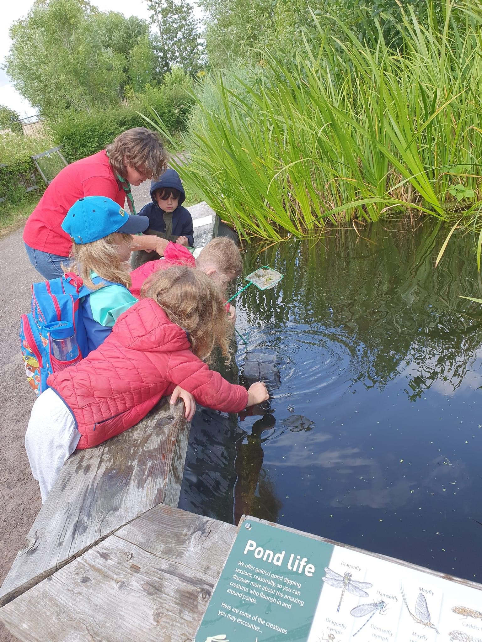 Squirrels – 46th Gloucester Scout Group