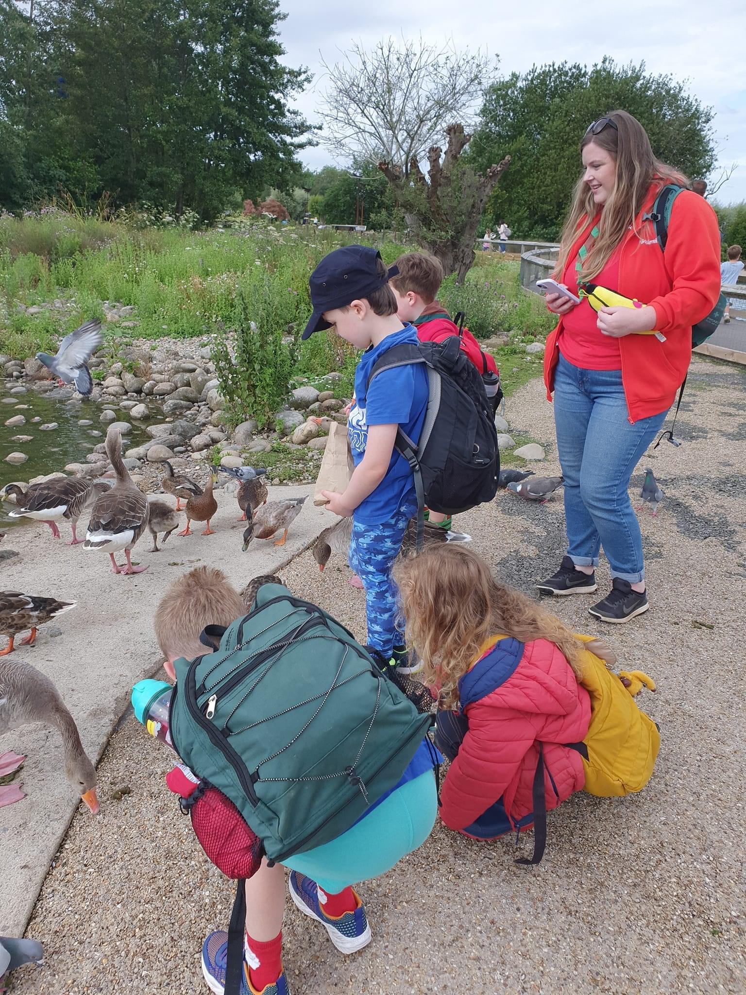 Squirrels – 46th Gloucester Scout Group